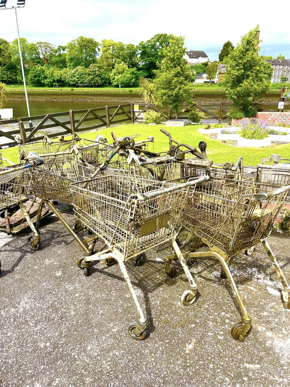 Supermarket Trolleys Dumped into River Boyne, Drogheda